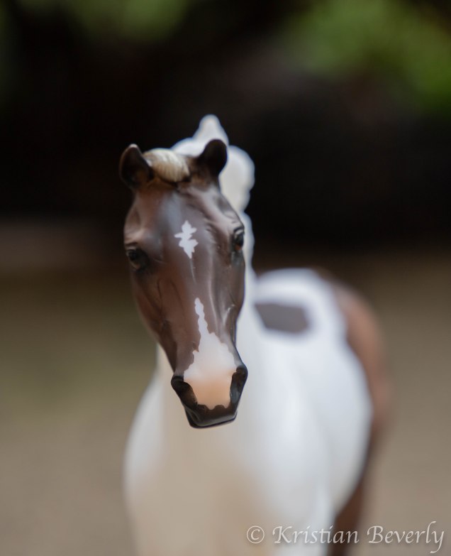 Breyerfest-The Model Loot – Kristian Beverly